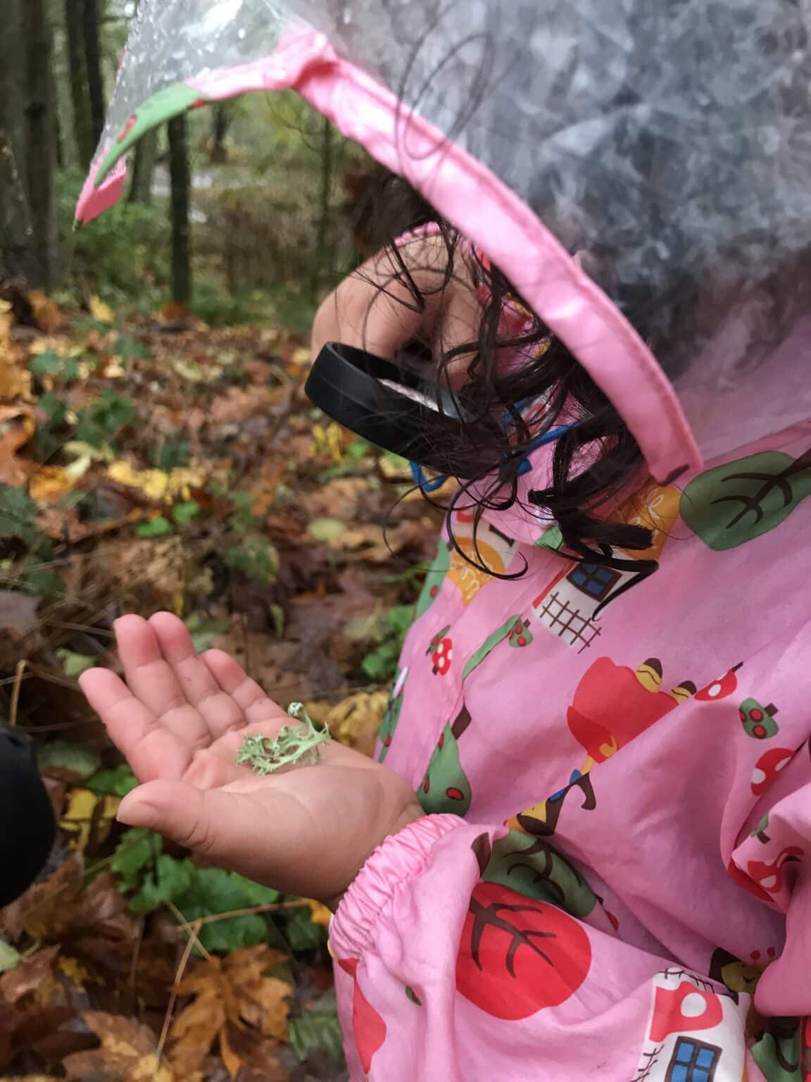 Daybreak Star Preschool » United Indians of All Tribes Foundation ...